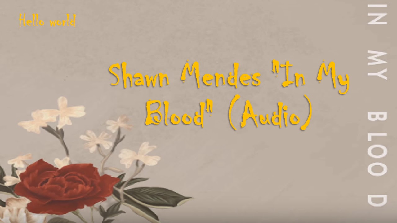 Shawn Mendes - In My Blood (Audio) - YouTube