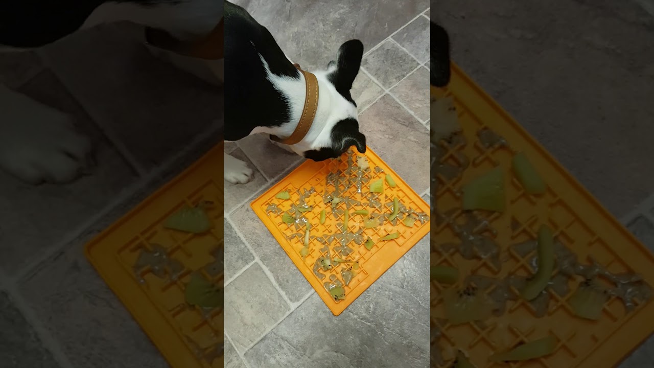 Licky mat - YouTube