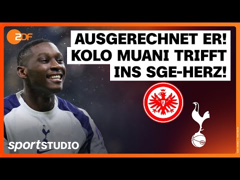 Eintracht Frankfurt – Tottenham Hotspur | UEFA Champions League, 8. Spieltag 2025/2026 | sportstudio