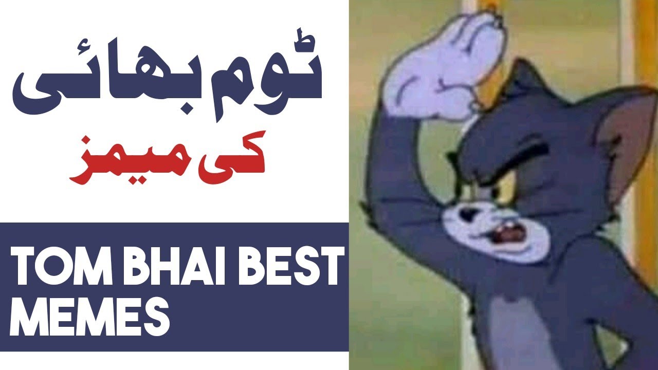 TOM BHAI MEMES | BEST TOM MEMES | TOM AND JERRY MEMES - YouTube