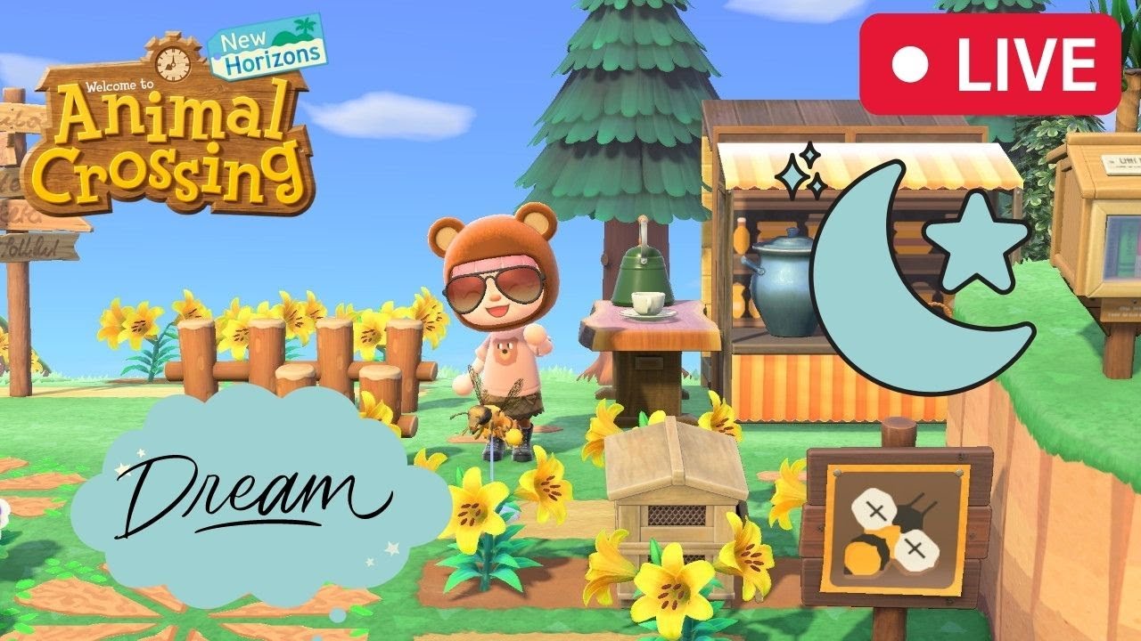 Visiting YOUR Dream Addresses - Animal Crossing New Horizons - YouTube