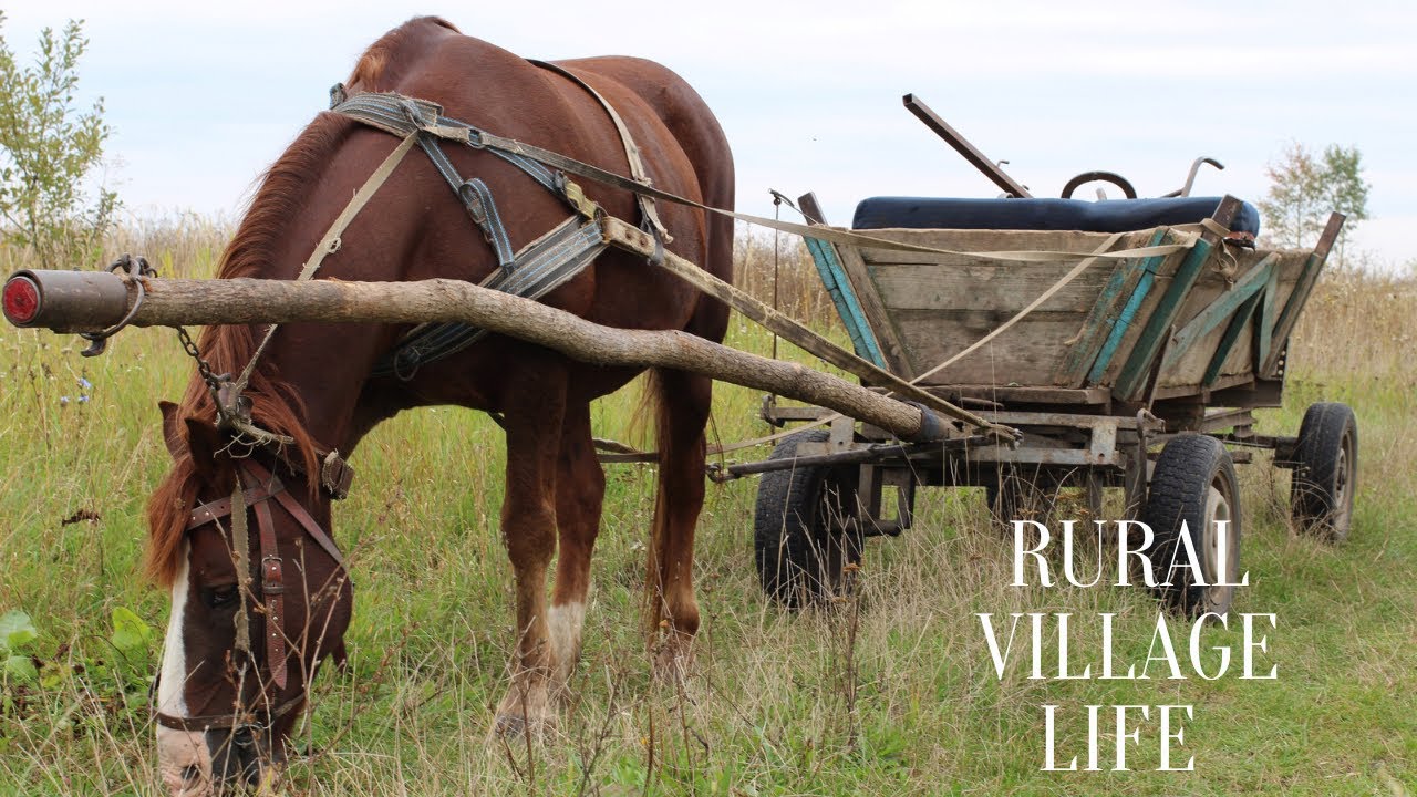 Life in a Traditional Bulgarian Village – Springtime Tour - YouTube