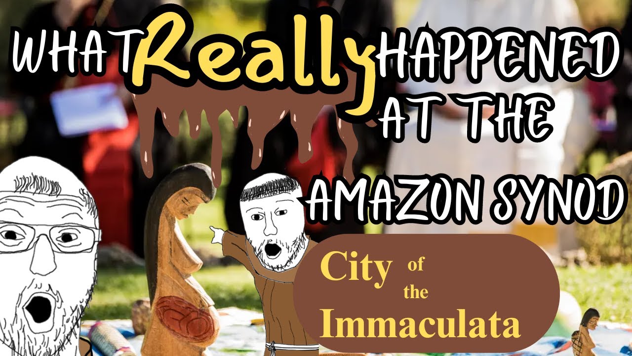 What REALLY Happened at the Amazon Synod - YouTube