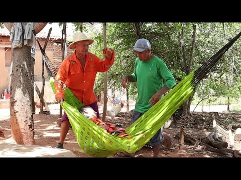 Seu mane e nao consegue acordar dona duceu   #comedia #humor #viralvideo #comedy 