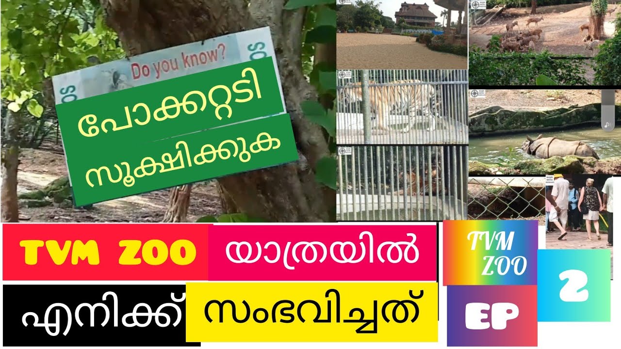 തിരുവനന്തപുരം മൃഗശാലയിൽ എനിക്ക് സംഭവിച്ചത് / TVM ZOO PART-2 - YouTube
