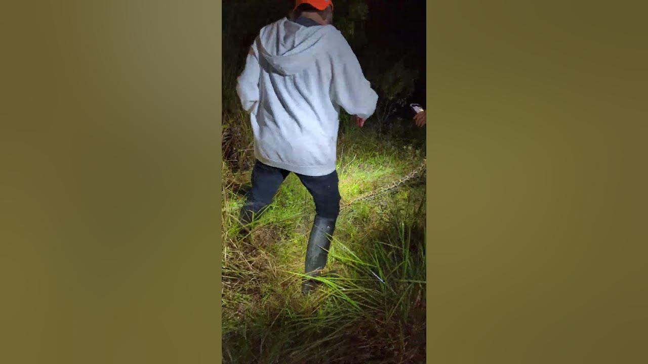 Python Strike - YouTube