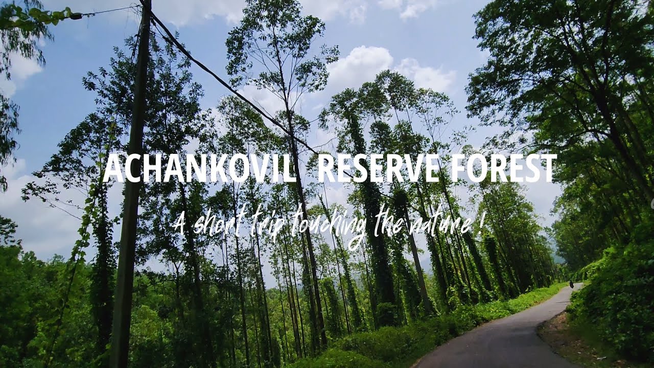 കാട്ടിൽ കൂടെ ഒരു യാത്ര | Achankovil Reserve Forest | Punalur to ...