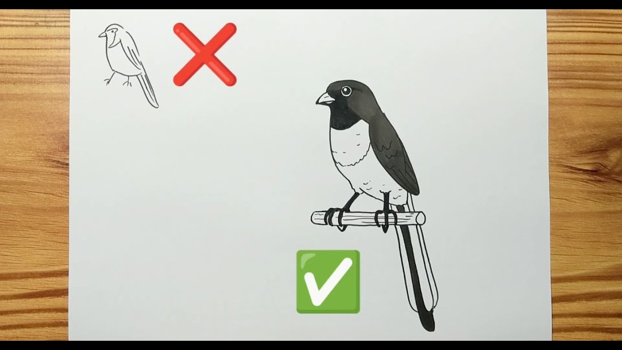 How to draw A SMALL MINIVET BIRD - YouTube
