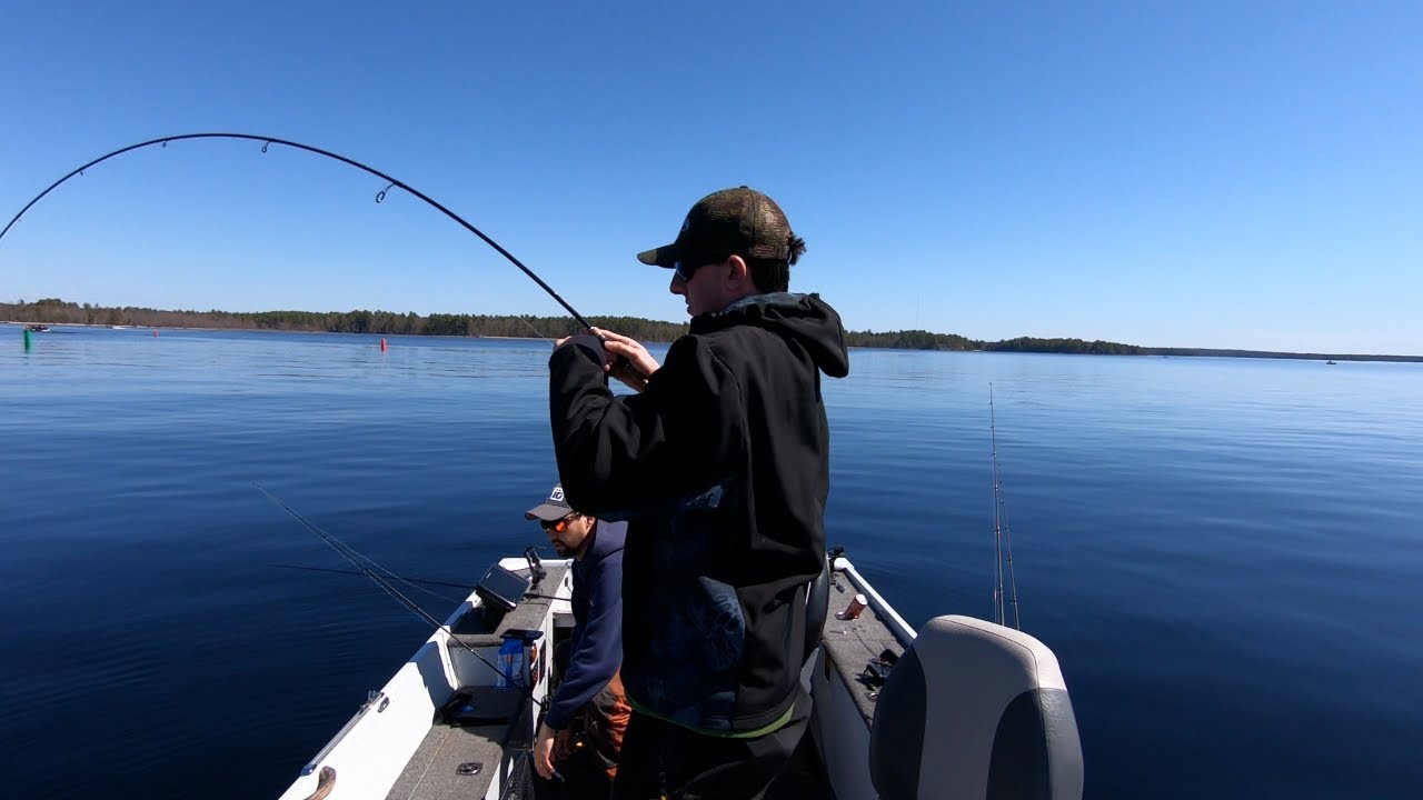 Spring Lake Trout Sebago Lake - YouTube