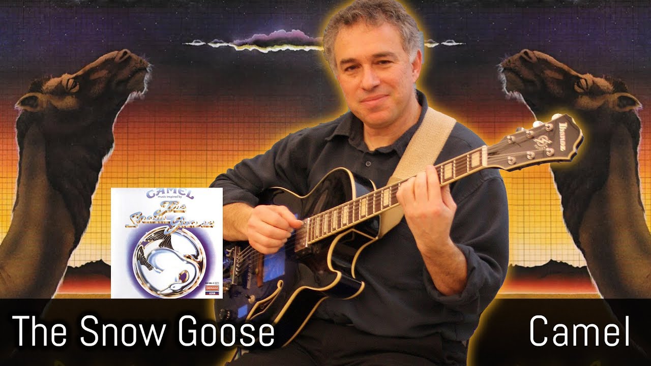 The Snow Goose, Camel, fingerstyle guitar #camel #thesnowgoose # ...
