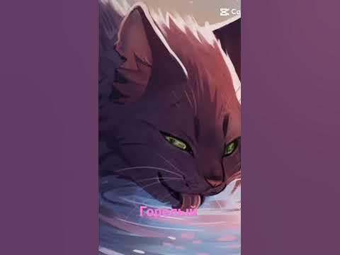 коты воители на аву 2 часть - YouTube