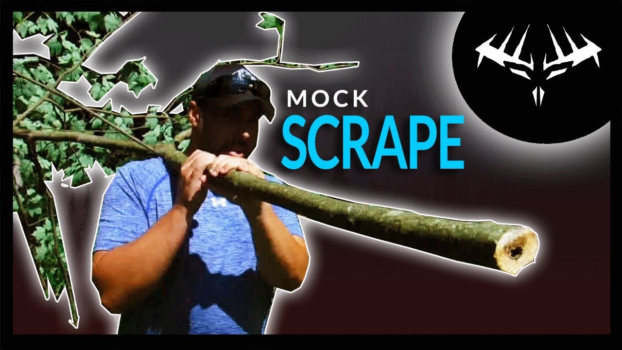 Planting a Mock Scrape Tree in the Food Plot - Hunting Vlog - YouTube