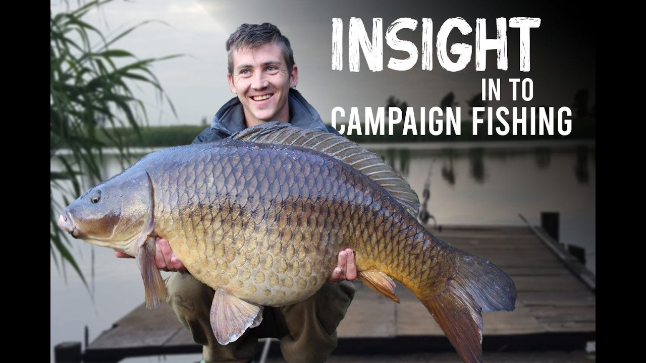 Seasonal Carp Fishing Tactics | Lessons from Donaldson Top Lake - YouTube