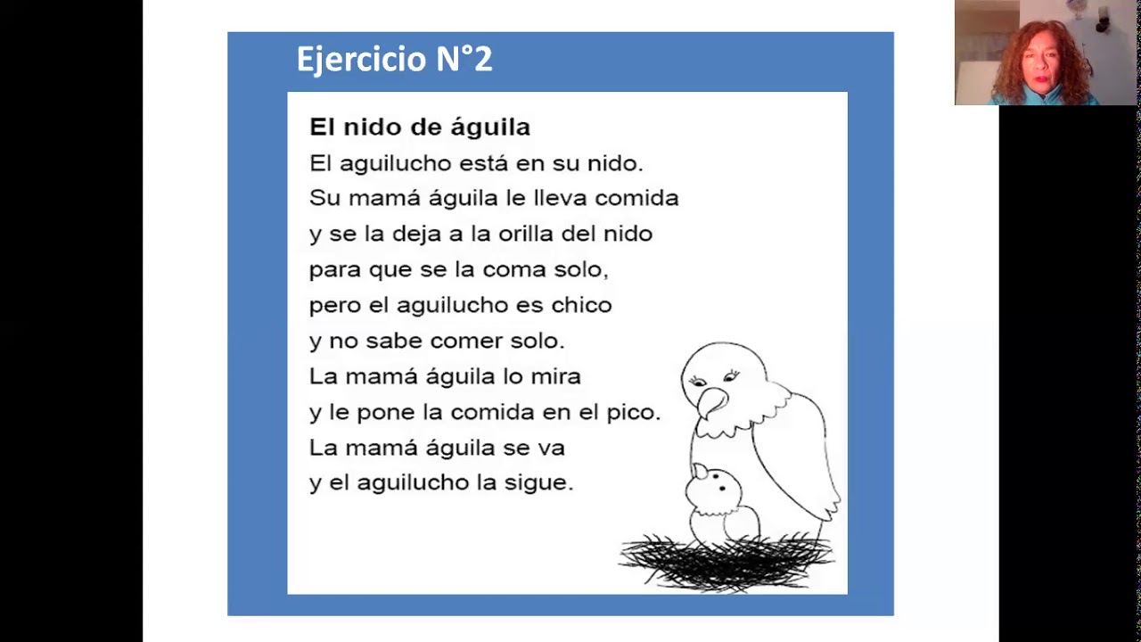 Lectura Ejercicio N°2 en voz alta 2 2do basico CE Consolidada - YouTube