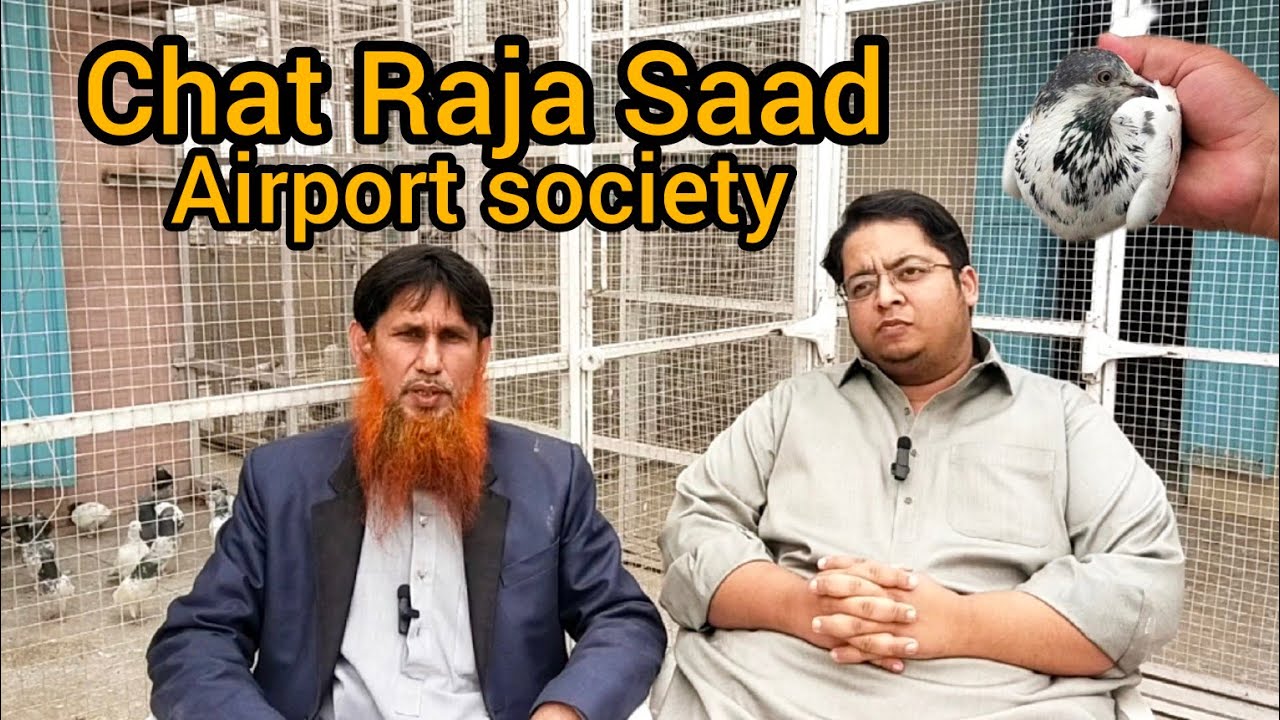 Raja Saad Airport society Rwp #viralyoutubevideo #pigeon #kabootar # ...