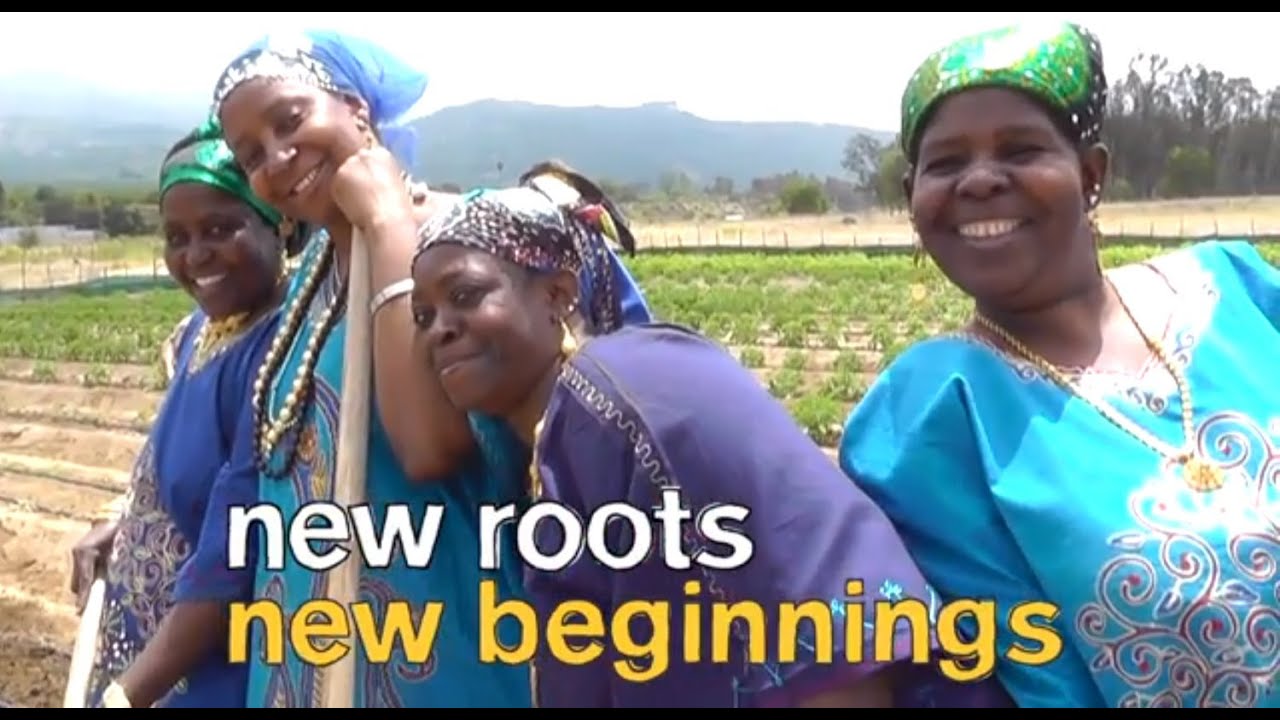 New Roots - YouTube