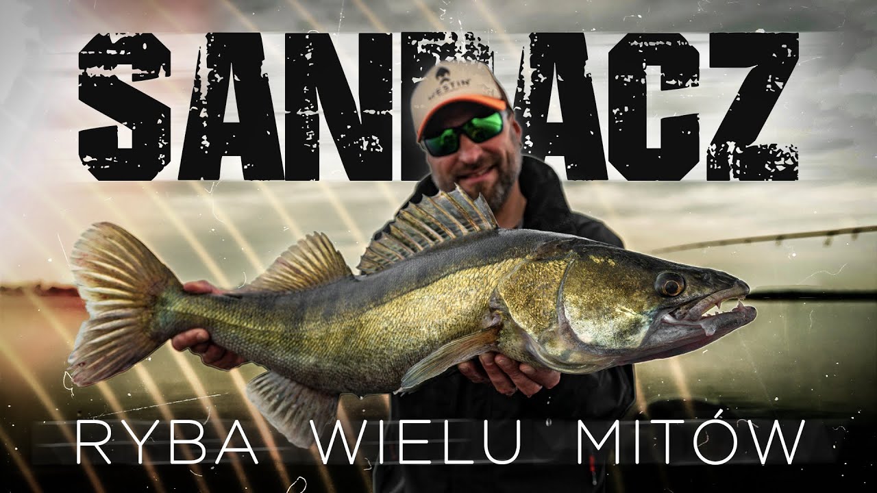 SANDACZ - ryba wielu mitów - TRAILER - YouTube