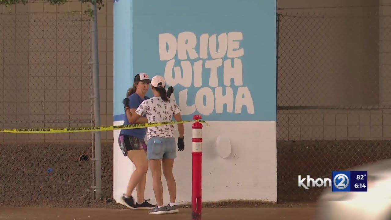 Hawaii DOT helps send important message creatively - YouTube