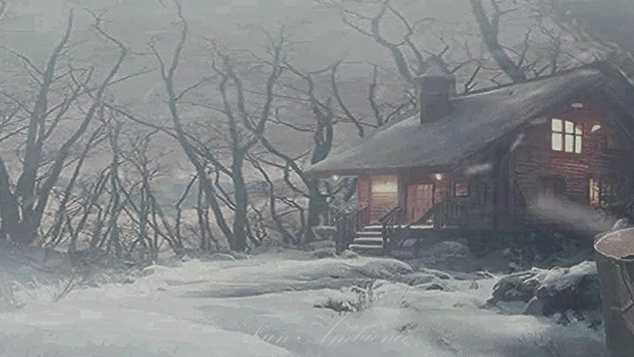 Surviving a terrifying snowstorm & trapped in a deadly snowstorm inside ...