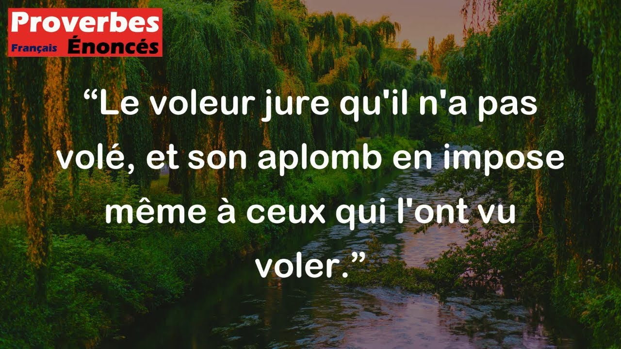 Le voleur jure qu'il n'a pas volé, et son aplomb en impose même à ceux ...