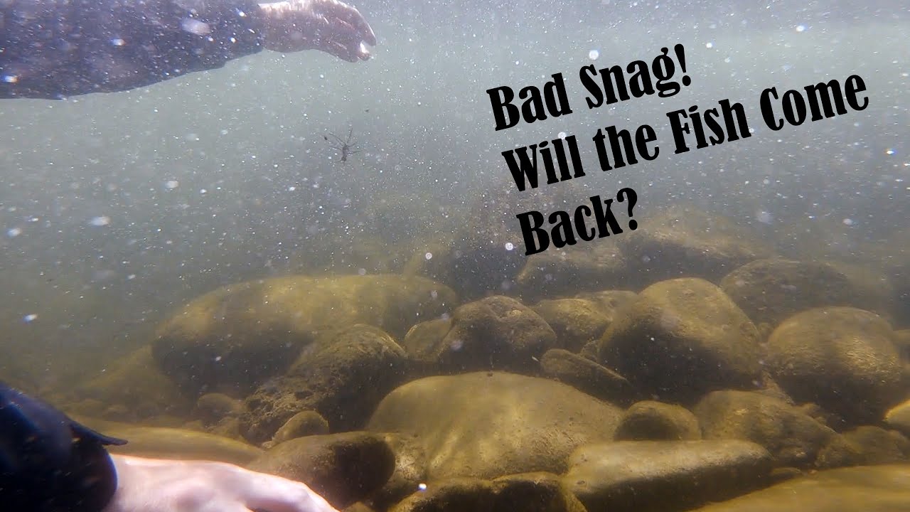Fishing Snag Memes Was Snagging Photos During A Fishing Trip And My