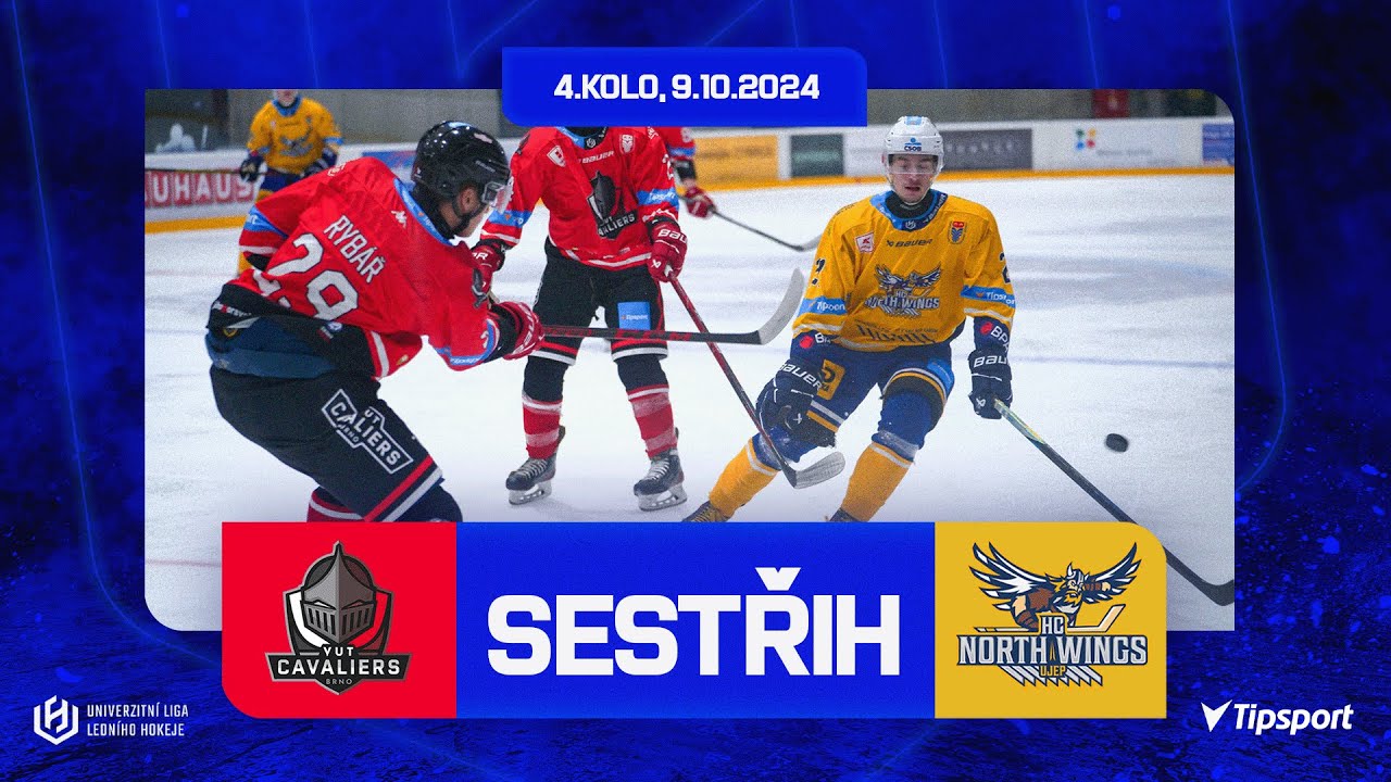 VUT Cavaliers Brno vs HC NORTH WINGS Ústí nad Labem 5:3 l 09.10.2024 l ...