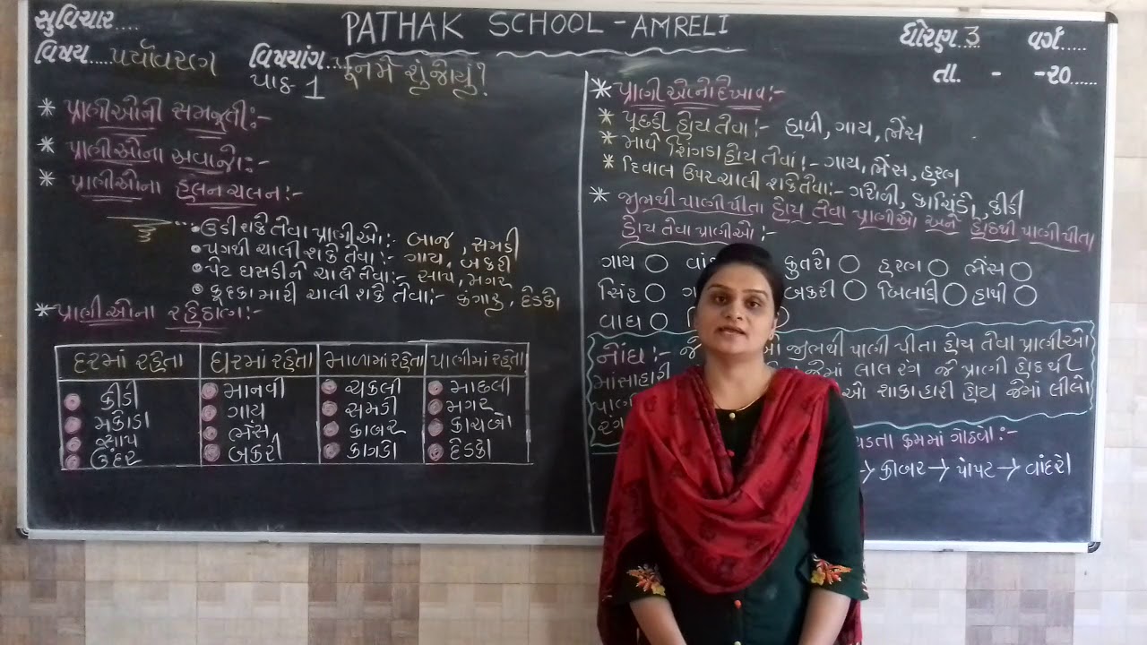 ENVIRONMENT | STD-3 | lecture 1 |PATHAK SCHOOL-AMRELI - YouTube