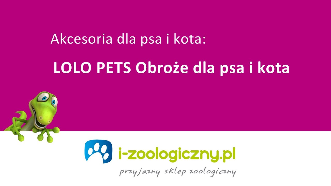 LOLO PETS Obroże dla psa i kota - YouTube
