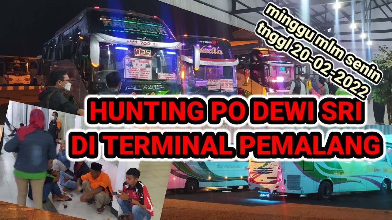 HUNTING BUS PO DEWI SRI☑️🚌DI TERMINAL PEMALANG⏭️ ️ - YouTube