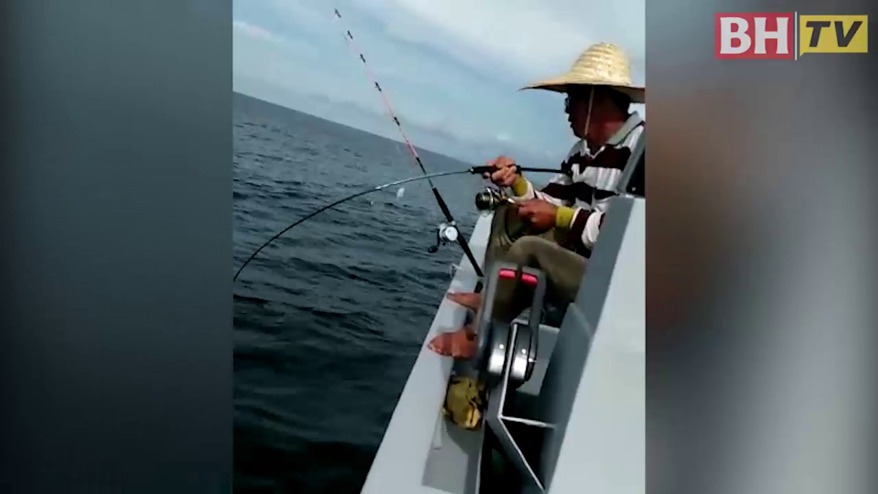 5 pemancing teruja jumpa yu paus di Bekenu - YouTube