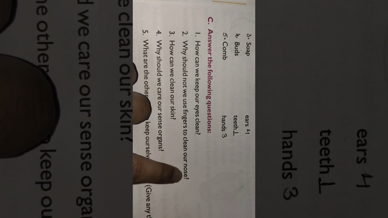 Class 3 EVS Chapter 2 Question Answers And Excercises YouTube class-3-evs-chapter-2-question-answers-and-excercises-youtube