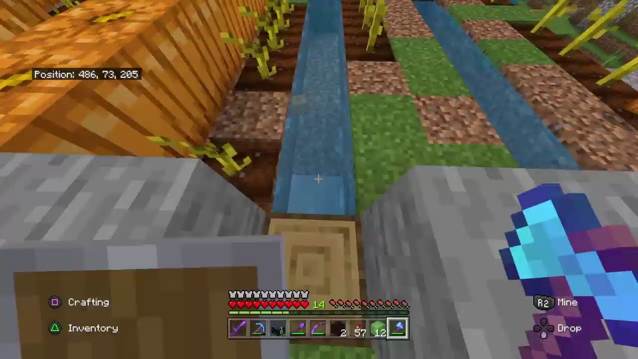 PP craft - YouTube