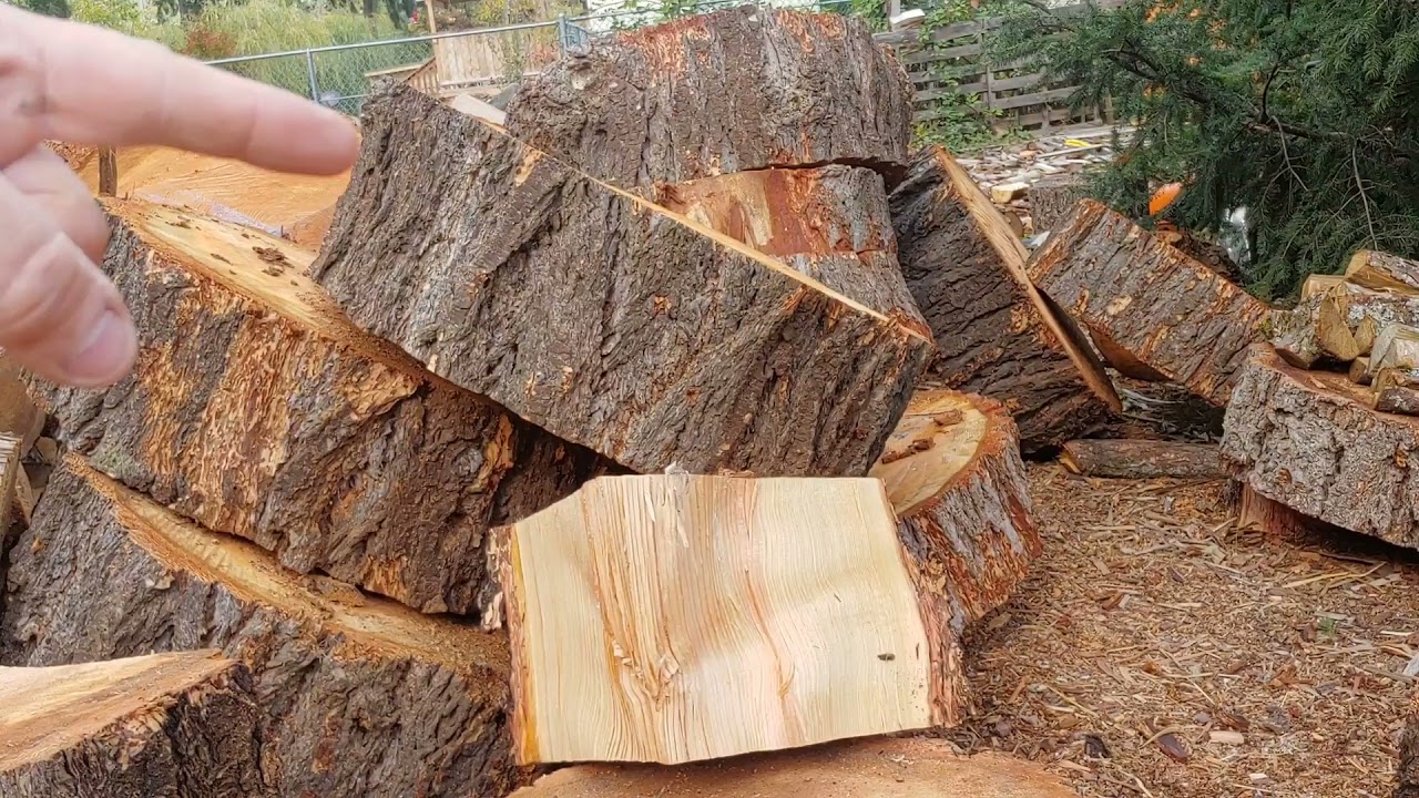 How I Use Splitting Wedges & a Monster Maul #Firewood #Production - YouTube