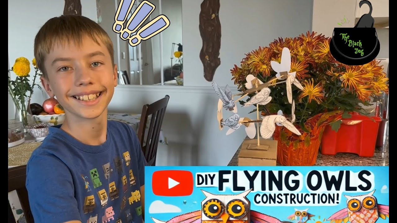 DIY Flying Owls Machine - YouTube