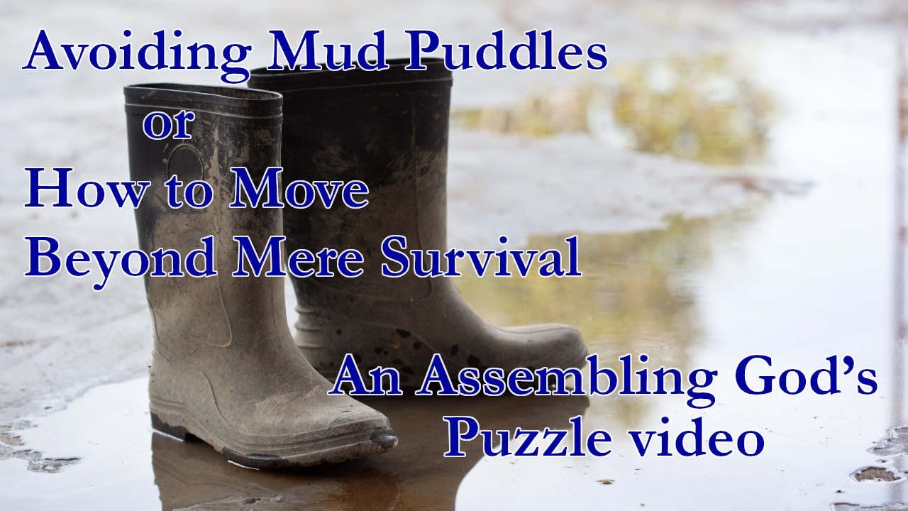 Avoiding Mudpuddles or How to Move Beyond Mere Survival - YouTube