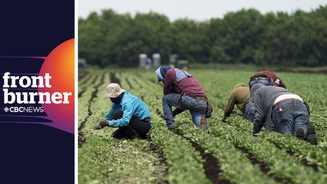 Canada’s migrant workers face modern 'slavery': UN report | Front Burner - YouTube