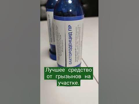 Бактороденцид лучшее средство от мышей #мыши #мышиныйтиф # ...