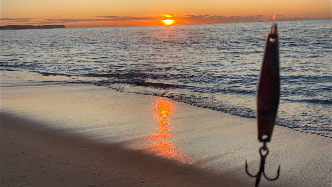 Tailor fishing on blacksmiths beach || lures only - YouTube