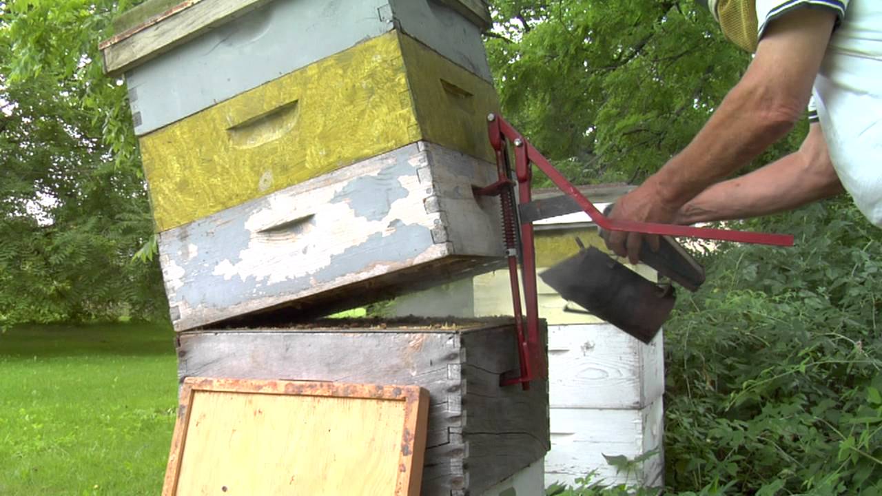 Hive Jacker - YouTube
