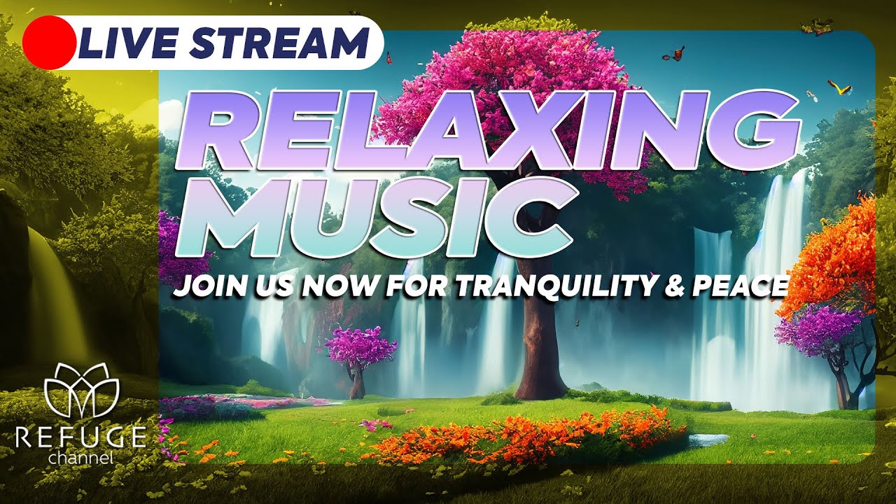 🌿 12-Hour Relaxing Music LIVE Stream 🎵 - YouTube