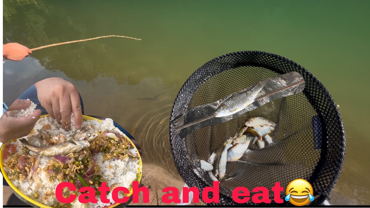 Catching and Eating whatever we find. #fishing - YouTube