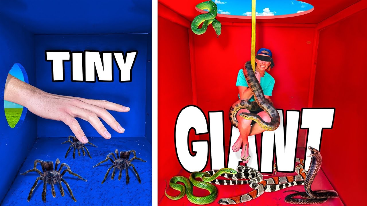 What’s in the Box? TINY vs GIANT - YouTube