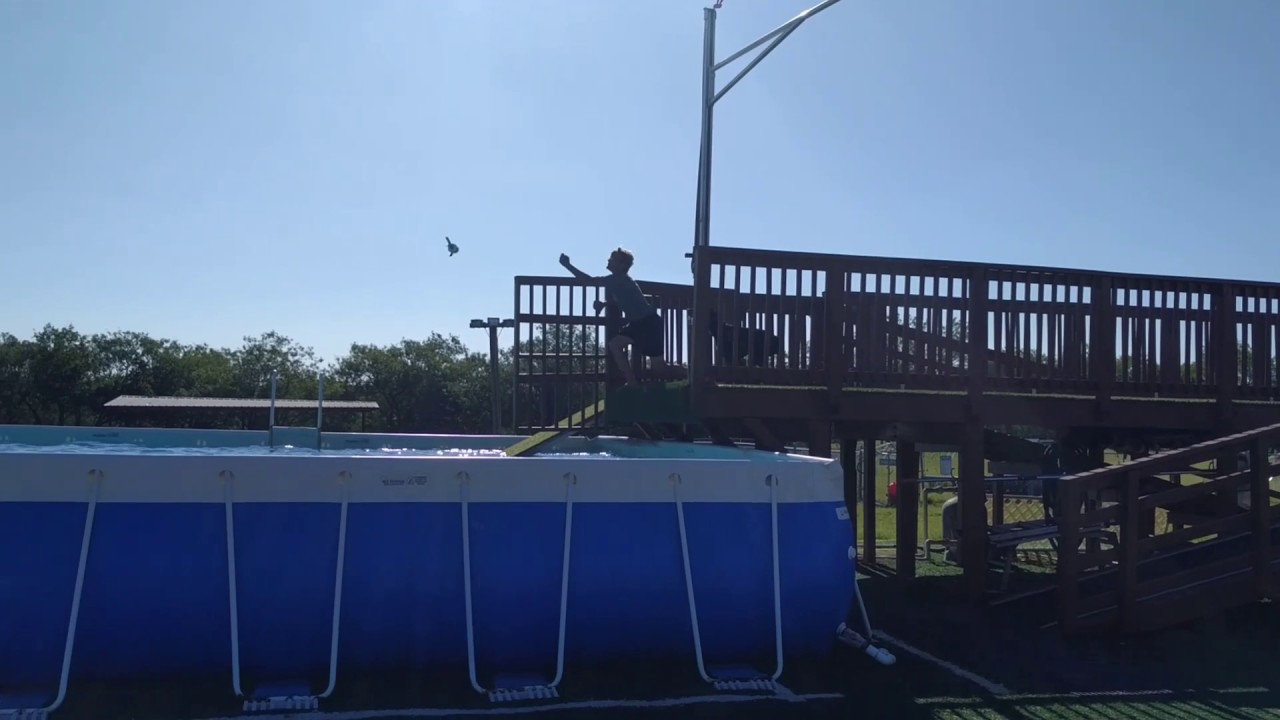Bree Dock Diving Doberman Puppy 6/11 - YouTube