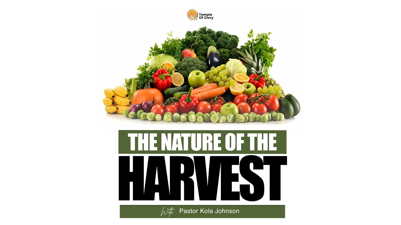 The Nature of The Harvest - YouTube