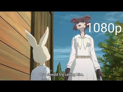 Juno tells Haru to call Louis Beastars s2 ep 8 1080p (english sub)