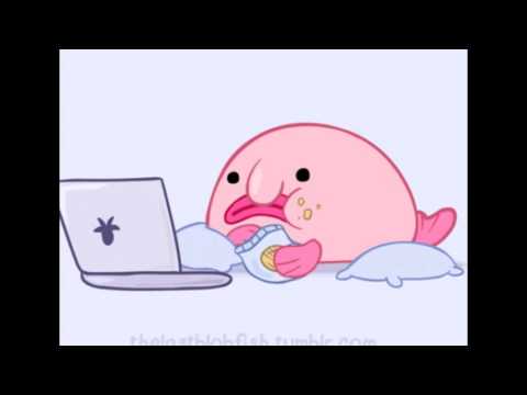 Cute Bobfish Pics - YouTube