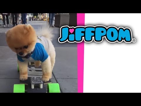 Jiff Skate Take Me Home - YouTube