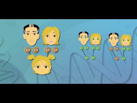 Scholastic - Study Jams - Heredity - YouTube