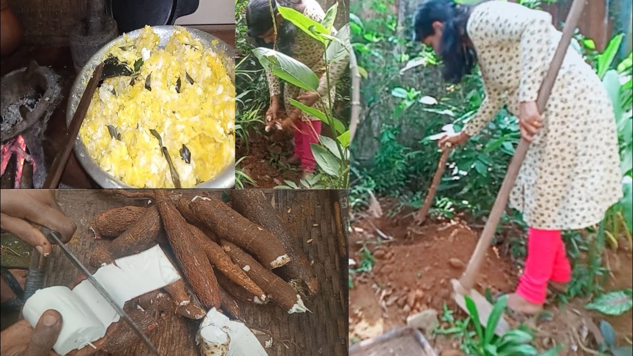Kerala style kappappuzhukk /Kerala tapioca recipe /village life style ...