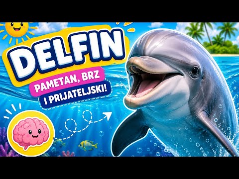 DELFIN ZA DECU 🐬🐬🐬 EDUKATIVNI VIDEO/ NAUČITE SVE O DELFINIMA SA NAMA 🌈💜✨🌞🐬💛🌟💗💕 